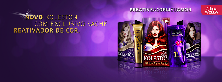 Portfolio Details - Ami's CV